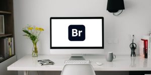 Adobe Bridge - Detailed Guide For Beginners