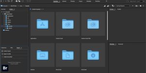 Adobe Bridge - Detailed Guide For Beginners