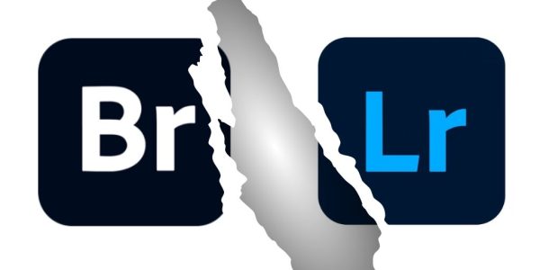 Adobe Bridge - Detailed Guide For Beginners