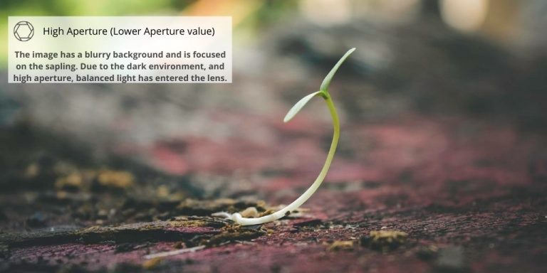 What is Aperture in Photography? Beginners Guide