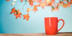 How To Perform Natural Light Photography Like A Pro?