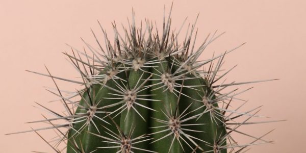 15 Basic Photo Editing Terms Explained | PixelPhant