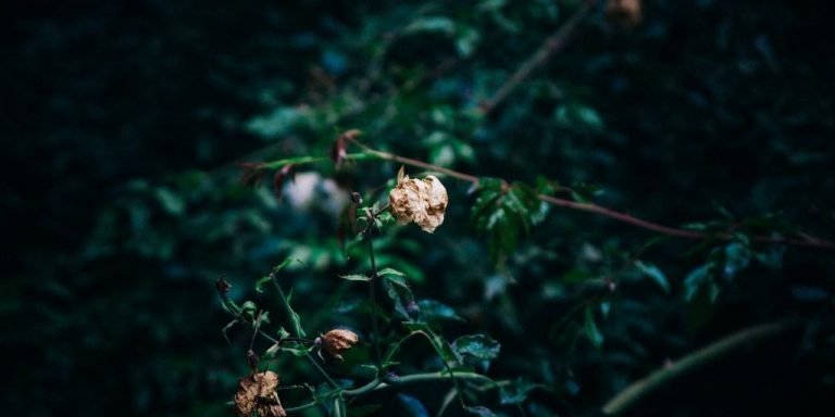 7 Reasons To Choose RAW Format in Photography