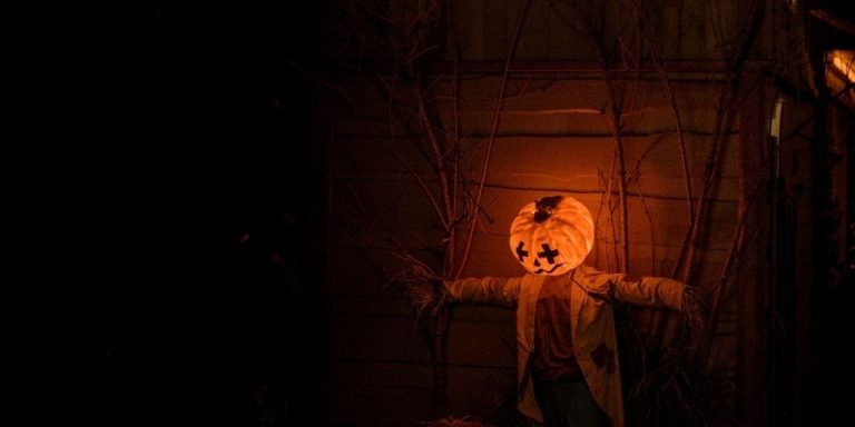 Understanding Color Contrast In Photography In 10 Easy Ways