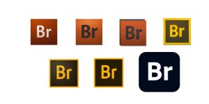 Adobe Bridge - Detailed Guide For Beginners