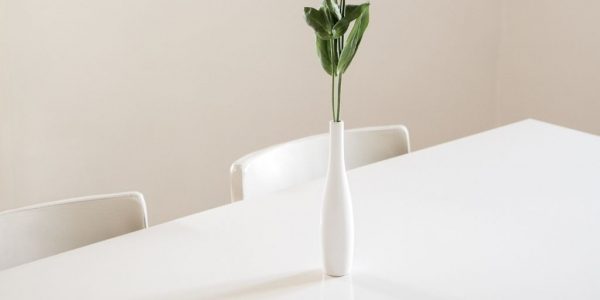 Packshot Photography Guide: Tips, Ideas and How to